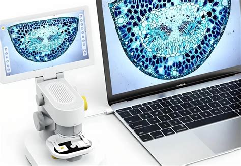 Unlocking Mysteries With A Pro Microscope A New Era In Digital Microscopy Toma Home