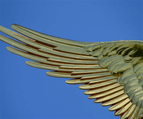 Wings Symbolism The Powerful Meaning Behind The Image