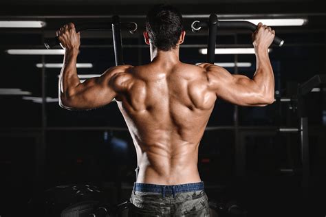 Тренировка спины на ширину и массу — программа упражнений