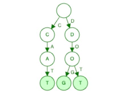 enhancing spell checking with trie data structure by vithusha