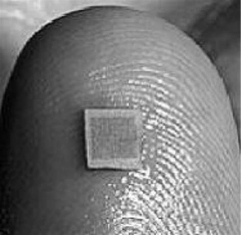 Experimental Microneedle Array Consisting Microneedles Download