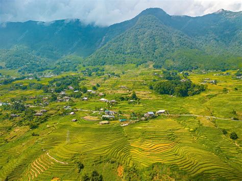Imagem Aérea De Terraços De Arroz No Vale De Muong Hoa Província De