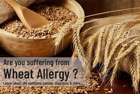 Wheat Allergy Symptoms Causes And Treatment Rhealthclinics