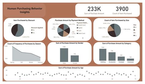 Power Bi And Sql Project Freelancer