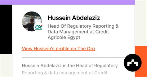 Hussein Abdelaziz Head Of Regulatory Reporting And Data Management At