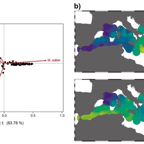 Covariance Based Pca Results A Pca Biplot Scaling 1 With Species