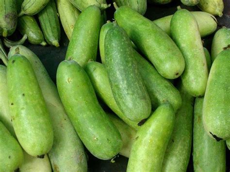 ត្រឡាចជាឱថសធម្មជាតិជួយព្យាបាលជំងឺយ៉ាងមានប្រសិទ្ធភាព Eang Sophallet