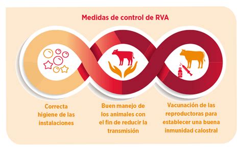 Caracterización Del Rotavirus A En Diarreas Neonatales De Bovino