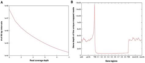 Genome Wide Depth Of Coverage Of Unique Mapped Reads A Depth Of