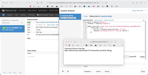 Action Types Webhook Site Docs