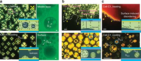 Appearance Of Isotropic And Nematic Droplets During Heating And