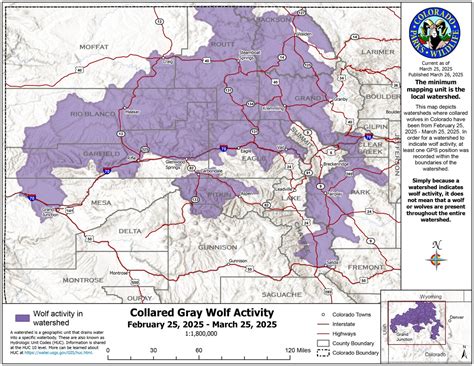 Cpw Second Gray Wolf Brought To Colorado From Canada Has Died In Wyoming