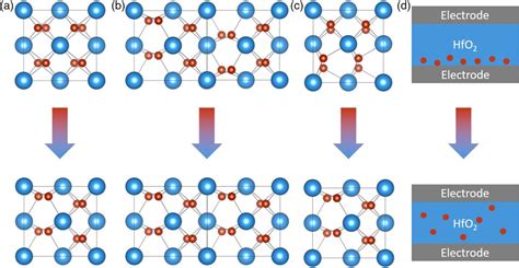 A Review On The Microstructure Of Ferroelectric Hafnium Oxides By Fraunhofer Ipms Storaige