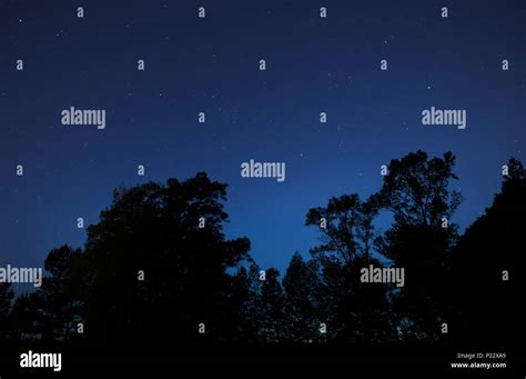 Tall Treeline Silhouetted By Stars Being At Night In North Carolina