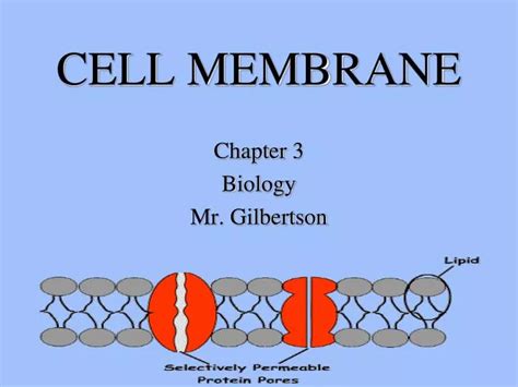PPT CELL MEMBRANE PowerPoint Presentation Free Download ID