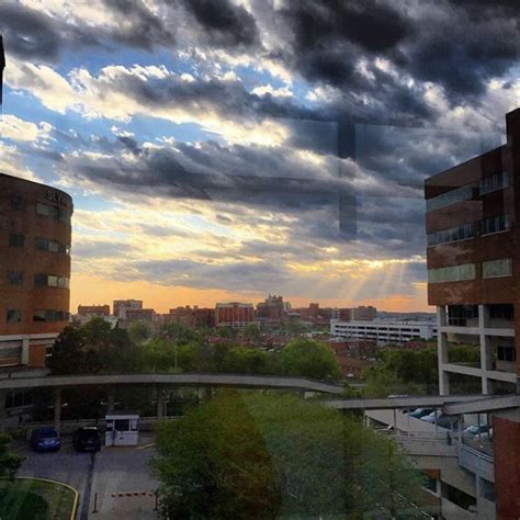 Contact Christie Dedman