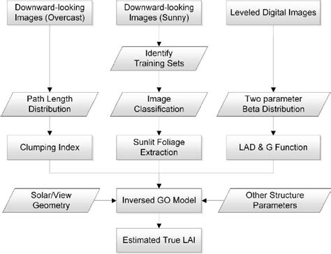 the flow chart of procedures to extract lai from downward looking