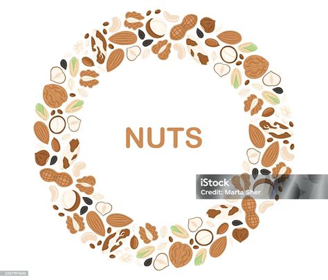 견과류와 씨앗 서클 프레임 호두 아몬드 헤이즐넛 땅콩 건조 피스타치오 마카다미아 및 해바라기 씨 라운드 비건 음식 테두리 흰색 배경에 고립 된 플랫 벡터 일러스트 레이션 0