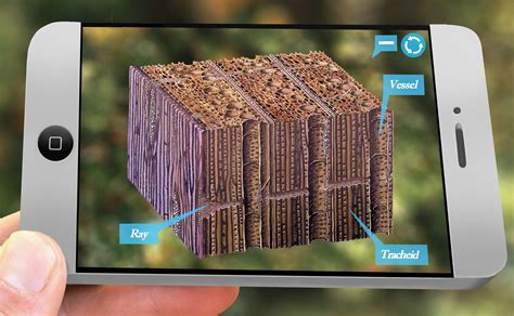 Tree Explorer Encyclopedia Pictura