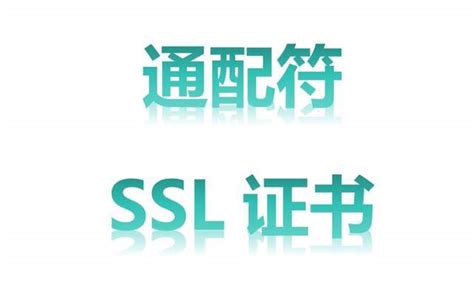 2024年最后一波福利—免费通配符ssl证书可以无限续签！ 进行 成本 joyssl