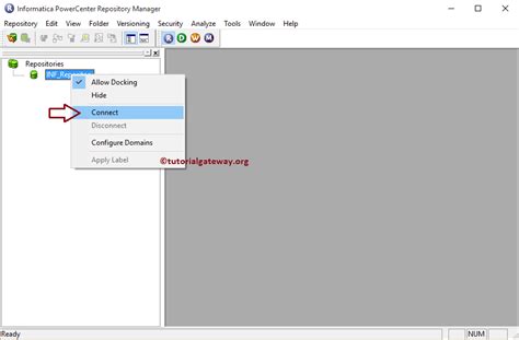 Informatica Repository Manager
