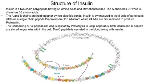 Insulin And Its Analoguespptx