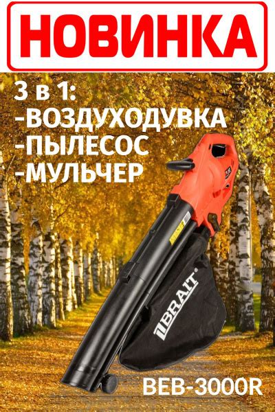 Воздуходувка пылесос мульчер Brait BEB-3000R - купить с доставкой по ...