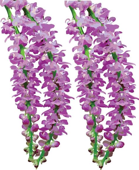 Kapou Flower Fox Tail Orchid Kopou Phool Is A Very Important Flower