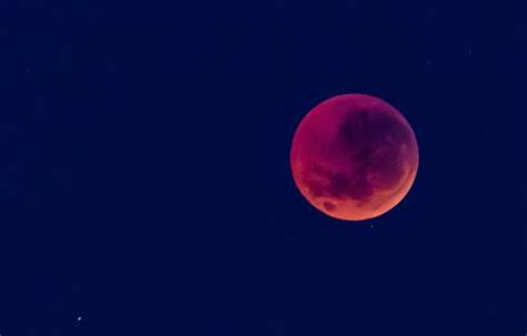 add search to your static site with lunr js hugo vanilla js