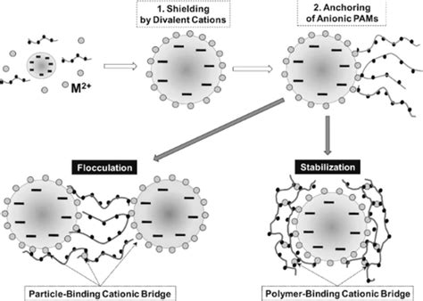Water Soluble Polymer Flocculants Synthesis Characterization And