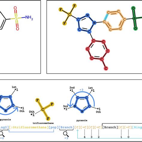 Visual Overview Of Selfies And Group Selfies Selfies Is Robust So