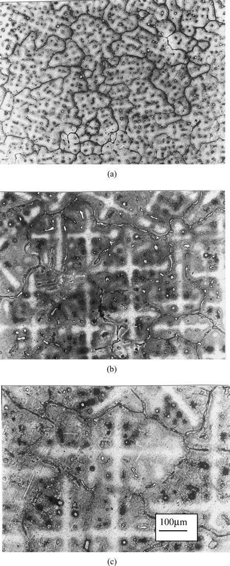 Micrographs Of Unidirectionally Solidified Al 4 5 Wt Cu Alloy Cross