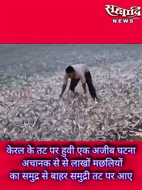 केरल के तट पर हुवी एक अजीब घटना अचानक से से लाखों मछलियों का समुद्र से बाहर समुद्री तट पर आए
