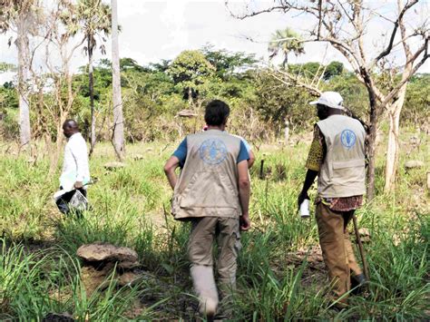Capacity Building For The Community Forest Allocation Process In The