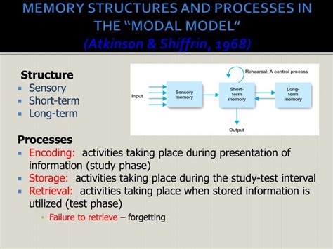 Ppt Atkinson And Shiffrins 1968 The Modal Model Of Memory Powerpoint Presentation Id 6884152