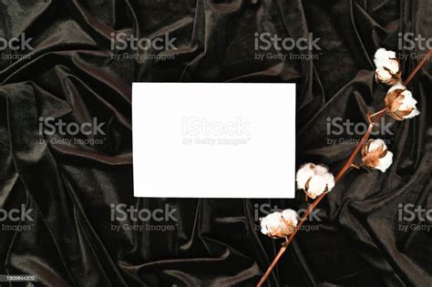 말린 면 가지가 있는 짙은 갈색 물결 모양의 벨벳에 화이트 초대 카드 모형 플랫 레이 0명에 대한 스톡 사진 및 기타 이미지 0명 공단 공란 Istock