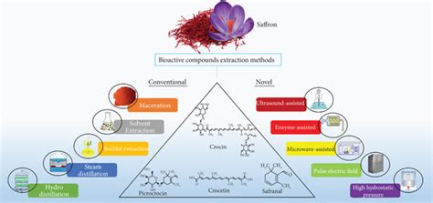 Different Conventional And Novel Extraction Methods Used To Extract The Download Scientific