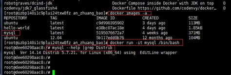 docker 上安装、启动 mysql 阿里云开发者社区
