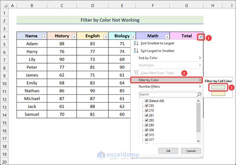 How To Filter By Color Using Conditional Formatting In Excel 3 Steps