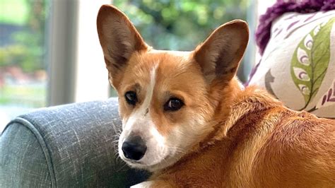 You Know What Assuming Does