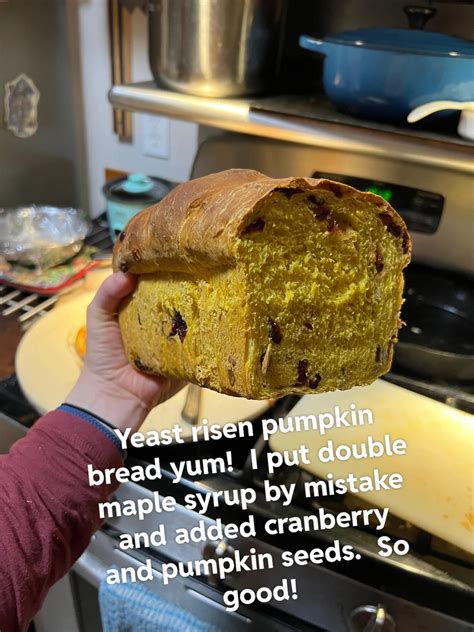 Yeasted Pumpkin Bread Recipe From Scrolller