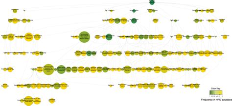 An Ontology Plot Of Hpo Terms Characterized In The Recruited Pedigrees
