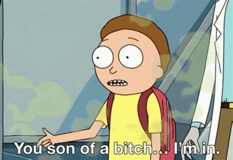Rick And Morty You Son Of Abitch  Rickandmorty Morty