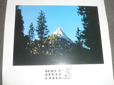 1990s Camp Whitsett Postcard Sentinel Peak