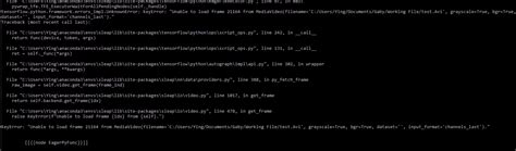 Video Frame Loading Error · Issue 566 · Talmolab Sleap · Github