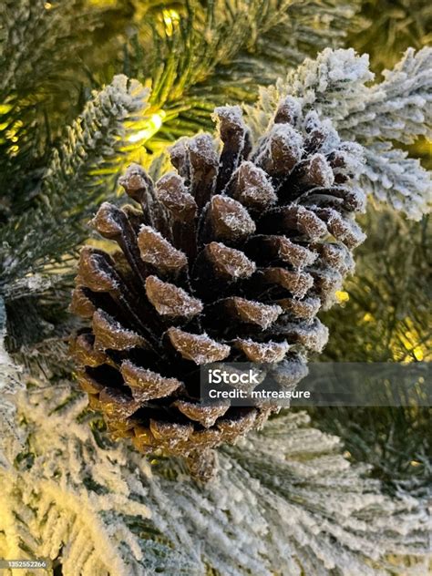 인공 크리스마스 나무 가지에 매달려 흰색 스프레이 소나무 콘 장식품의 전체 프레임 이미지 인공 스프레이 눈으로 덮여 가문비 나무 바늘 흐리게 흰색 요정 조명 배경 0명에