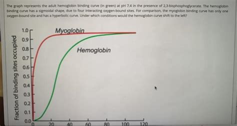 Solved The Graph Represents The Adult Hemoglobin Binding