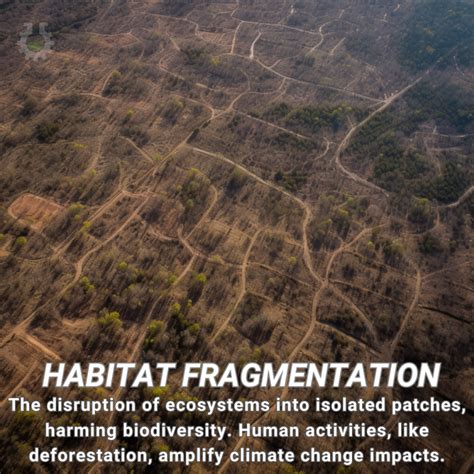 Habitat Fragmentation Science4data