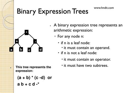 ppt introduction to trees it12112 lecture 05 powerpoint presentation
