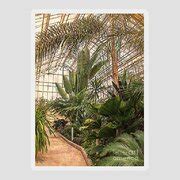 Tropical Greenhouse Gage Park Photograph By Barbara Mcmahon Fine Art